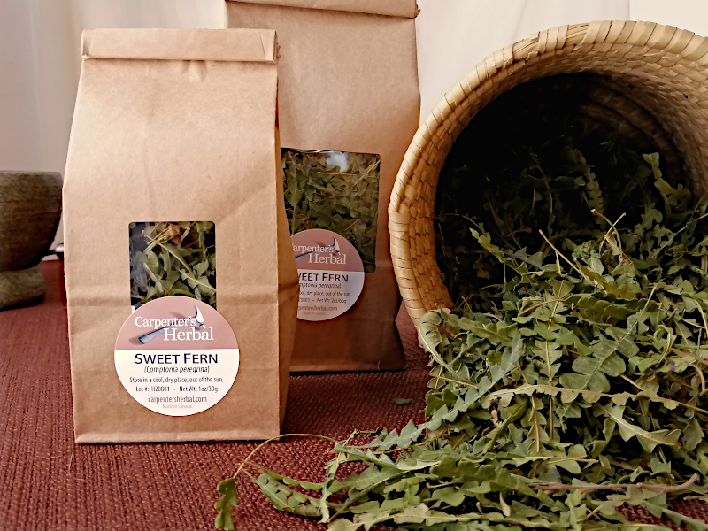 Sweet Fern • Carpenter's Herbal, Shop Wild Ontario Herbs.